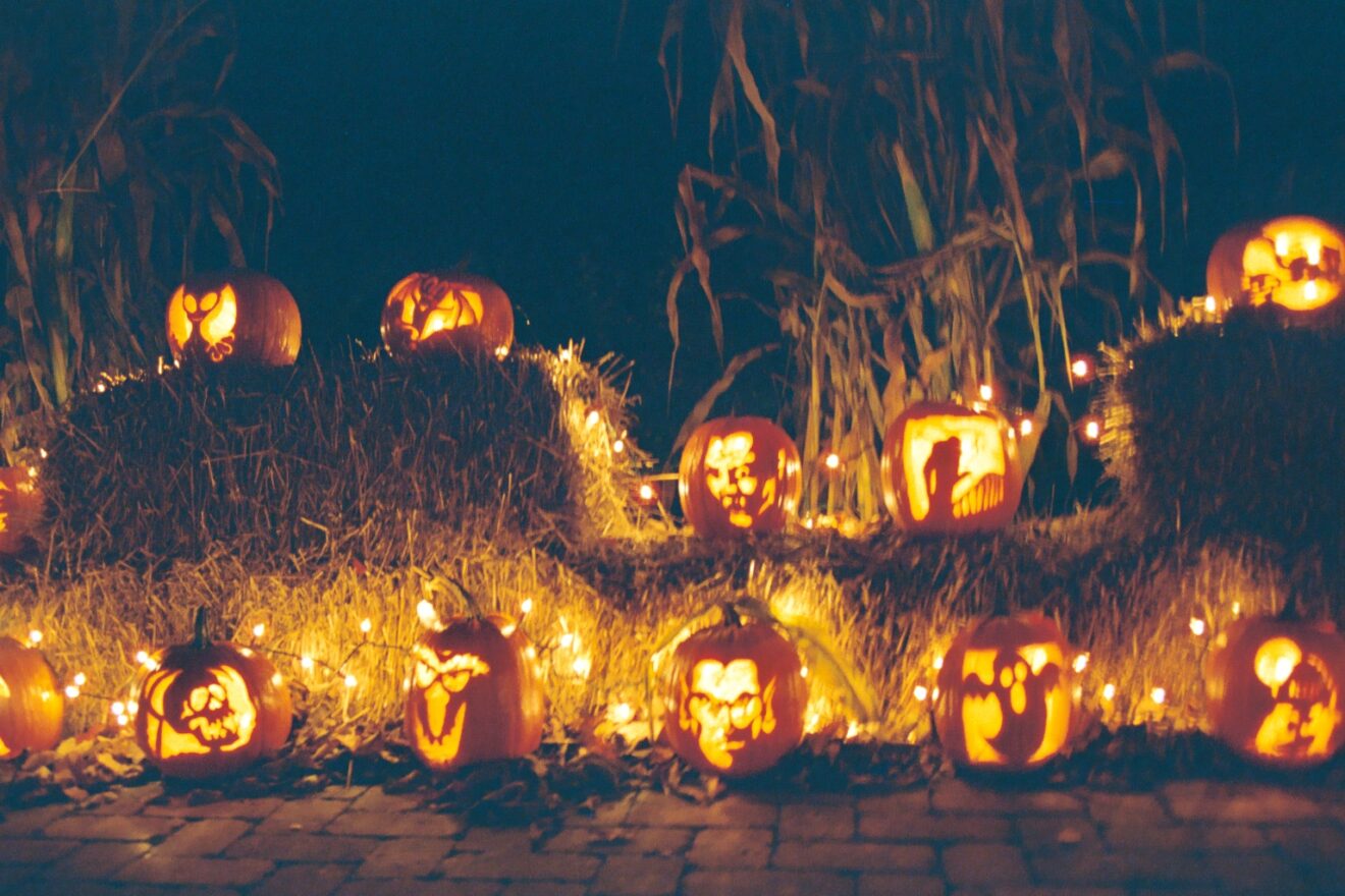 Choosing the Perfect Pumpkin
