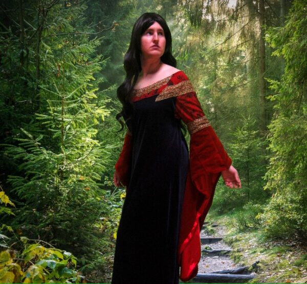 DIY Arwen Costume - Lord of the Rings, Return of the King Gown
